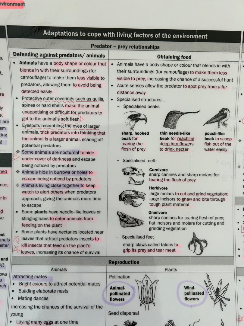 PSLE Science and Math Concept Maps, Hobbies & Toys, Books & Magazines ...