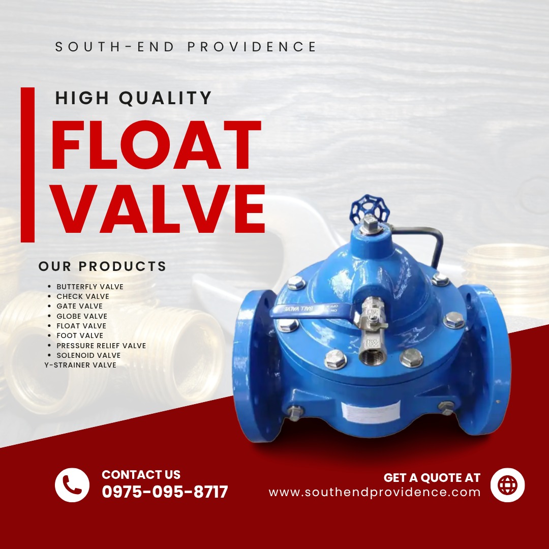 Float Valve, Flanged Ends Class 150 Check Valve / Kitz Thread Check ...