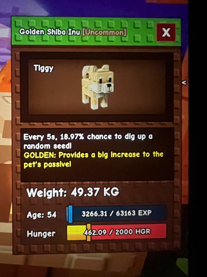 GOLDEN TITANIC SHIBA (Grow A Garden) (5 seconds), Video Gaming, Gaming Accessories, In-Game ...