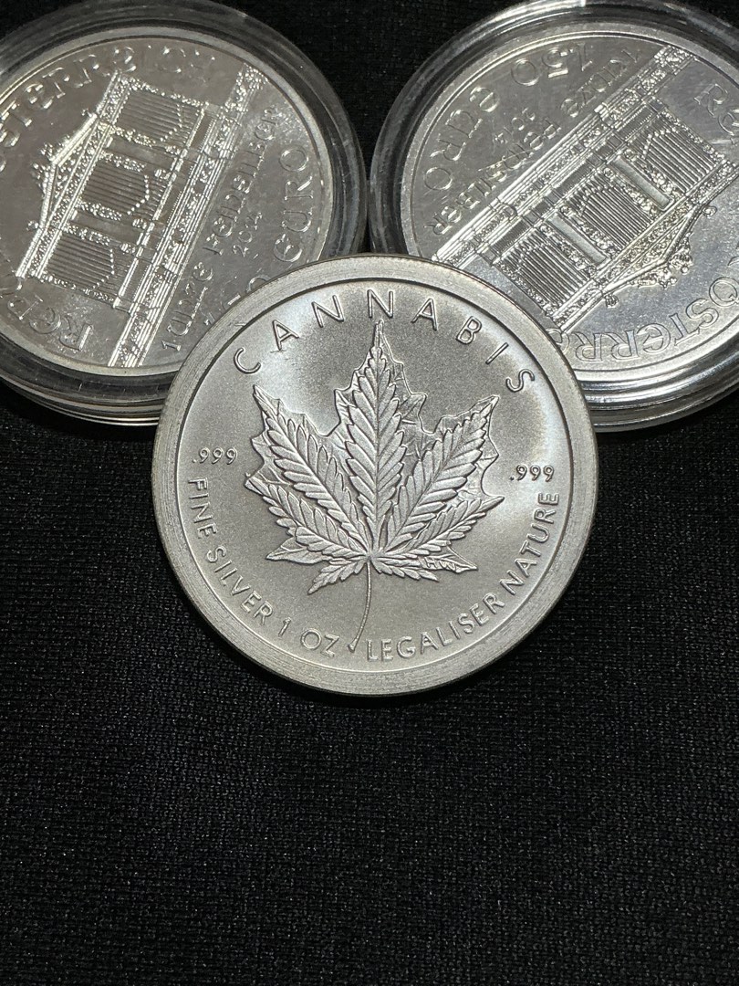 1oz Silver Shield Silver coins, Hobbies & Toys, Memorabilia ...