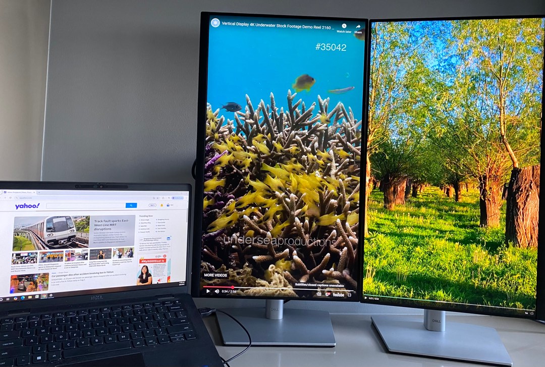 Dell P2422HE USB-C Hub Monitor Daisy Chain with P2422H, Computers ...