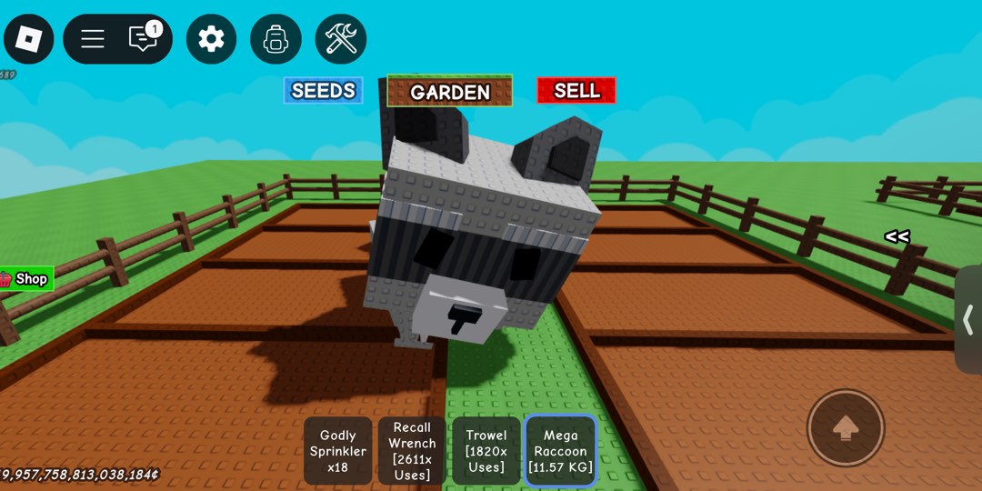 GROW A GARDEN MEGA RACCOON, Video Gaming, Video Games, Others on Carousell