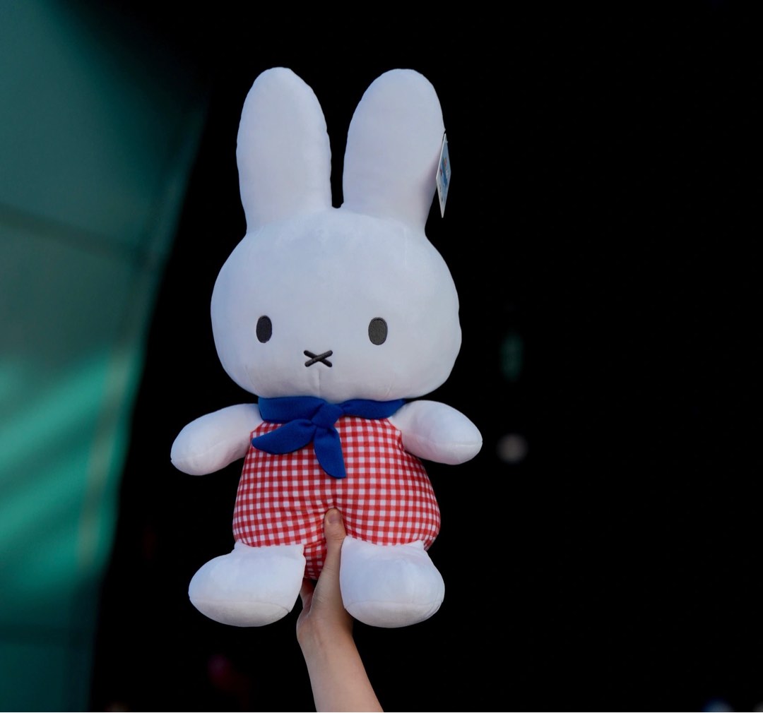 BNWT Special Miffy Oceanarium (Sailor design), Hobbies & Toys, Toys ...