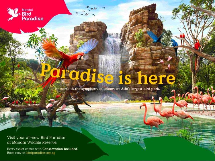 [30 Aug 2025 Fixed Date] 2 Pax Bird Paradise Ticket | Mandai Wildlife ...