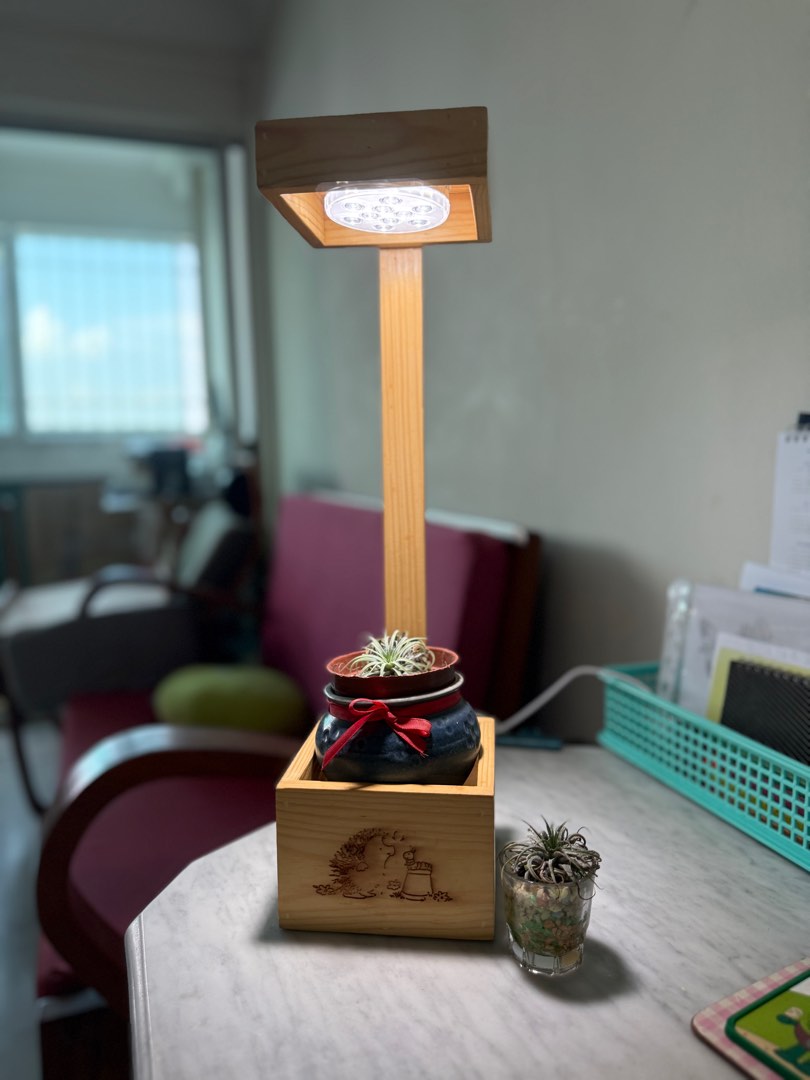Handmade Wooden stand with LED grow light, Furniture & Home Living ...