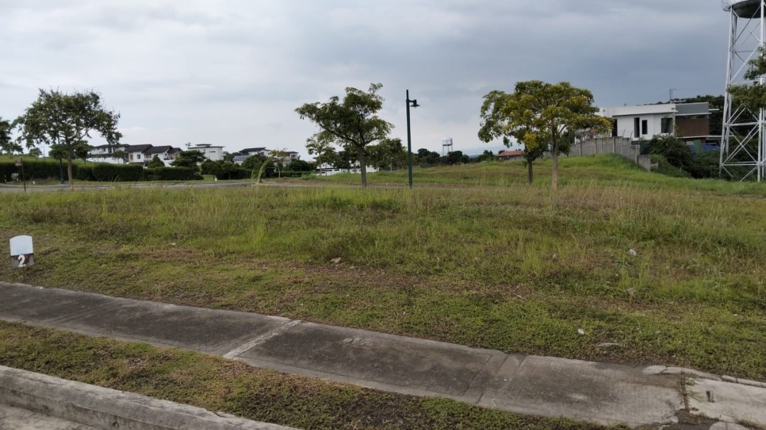 Prime Single Loaded 333sqm Lot in Pahara at Southwoods Laguna, P28k/sqm ...