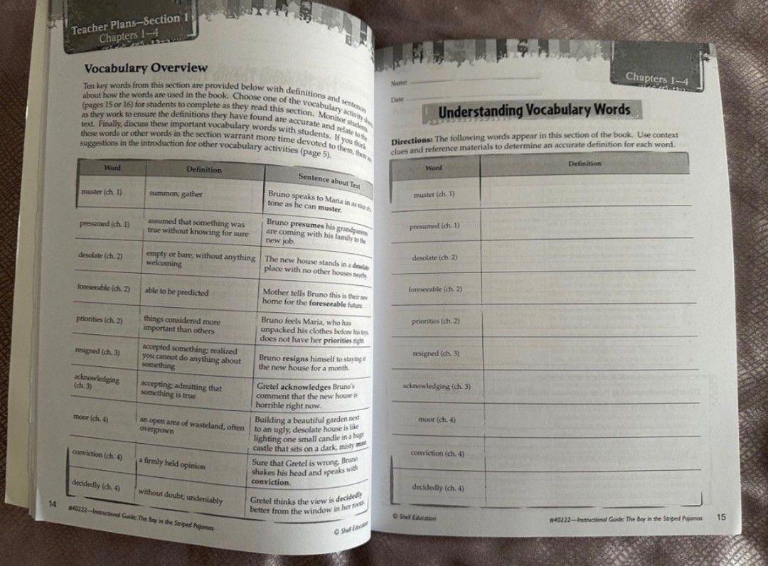 Great Works Instructional Guide for Literature: The Boy in the Striped ...