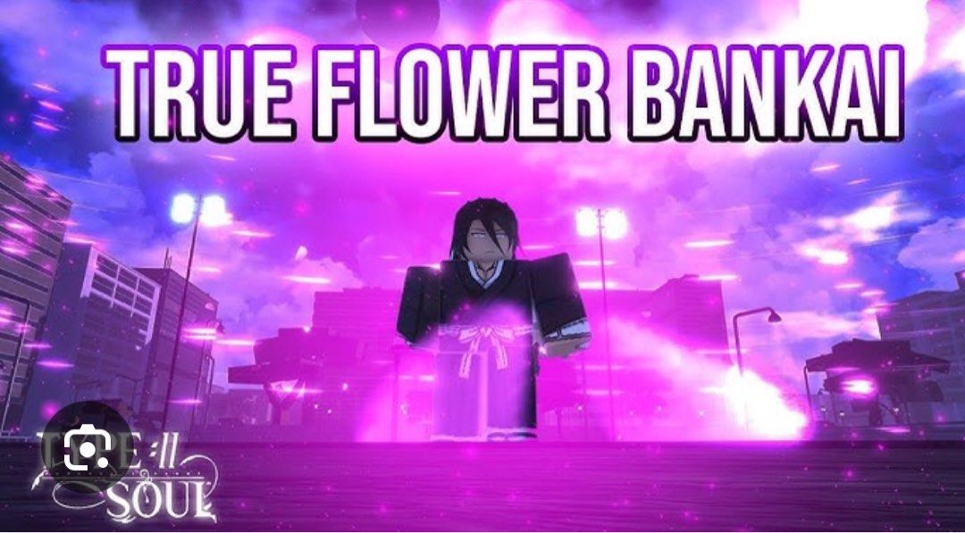 Type soul TRUE FLOWER BANKAI, With dimensional shard Yamato, unseen ...