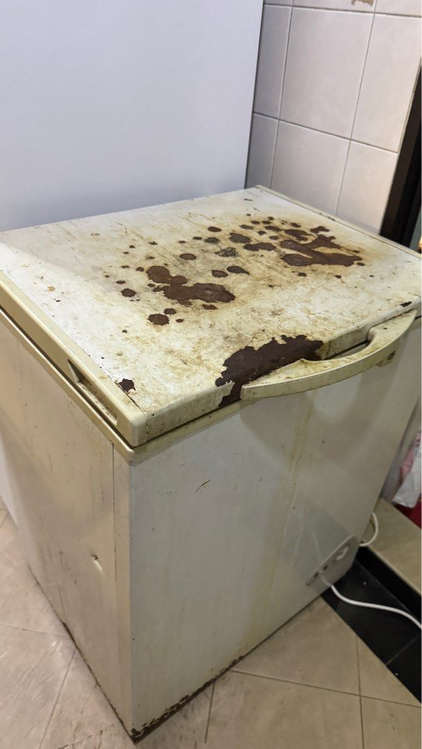 Working Chest Freezer can deep freeze (62L x48W x74H), TV & Home ...