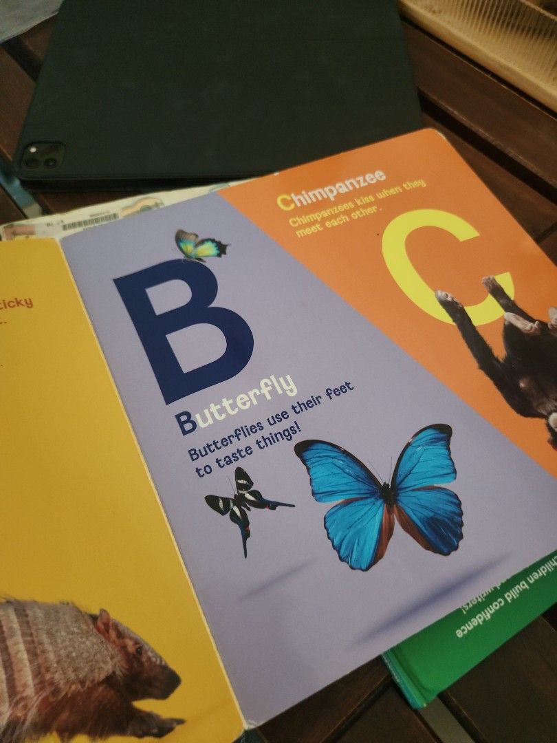 ABC Animals Book - American Museum of Natural History, Hobbies & Toys ...