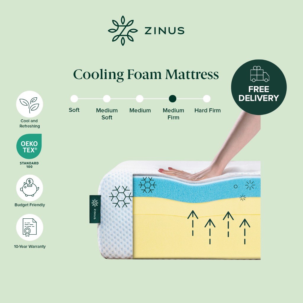 Zinus Maddon Gas Lift Storage Bed & Cooling Foam Mattress, Furniture ...