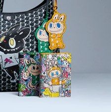 Moynat Labubu Passport Holder - Kasing Lung Collection, Hobbies & Toys ...