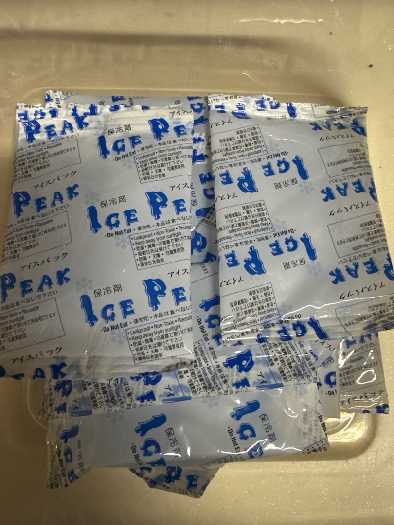 PEAK Ice Packs - Reusable, Hobbies & Toys, Travel, Travel Essentials ...