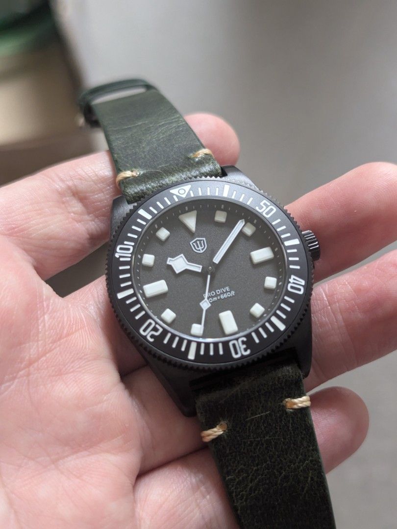 Usual $205 Watchdives 3D lume blocks FXD homage /38mm EXD Titanium ...