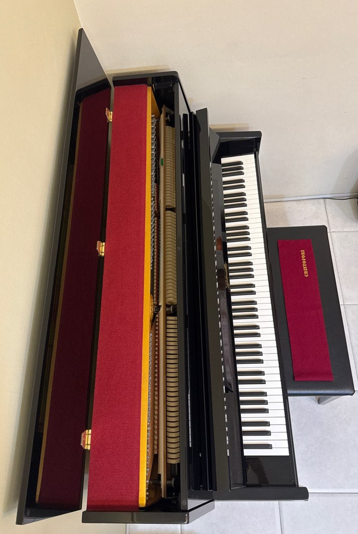 Ritmuller UP110R2 Upright Piano, Hobbies & Toys, Musical Instruments on ...