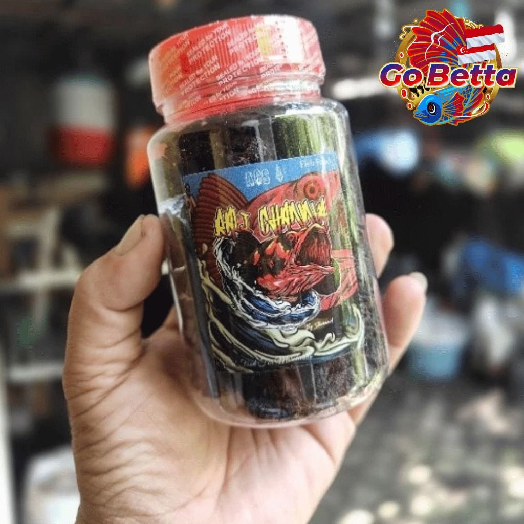 Channa Feed ACS4 Pelet 100g | High Protein Fish Food for Maru Yellow ...