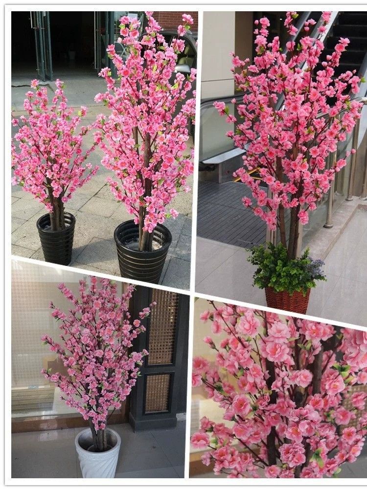 Sewa rental Sakura tree 5207418, Hobbies & Toys, Stationery & Craft ...