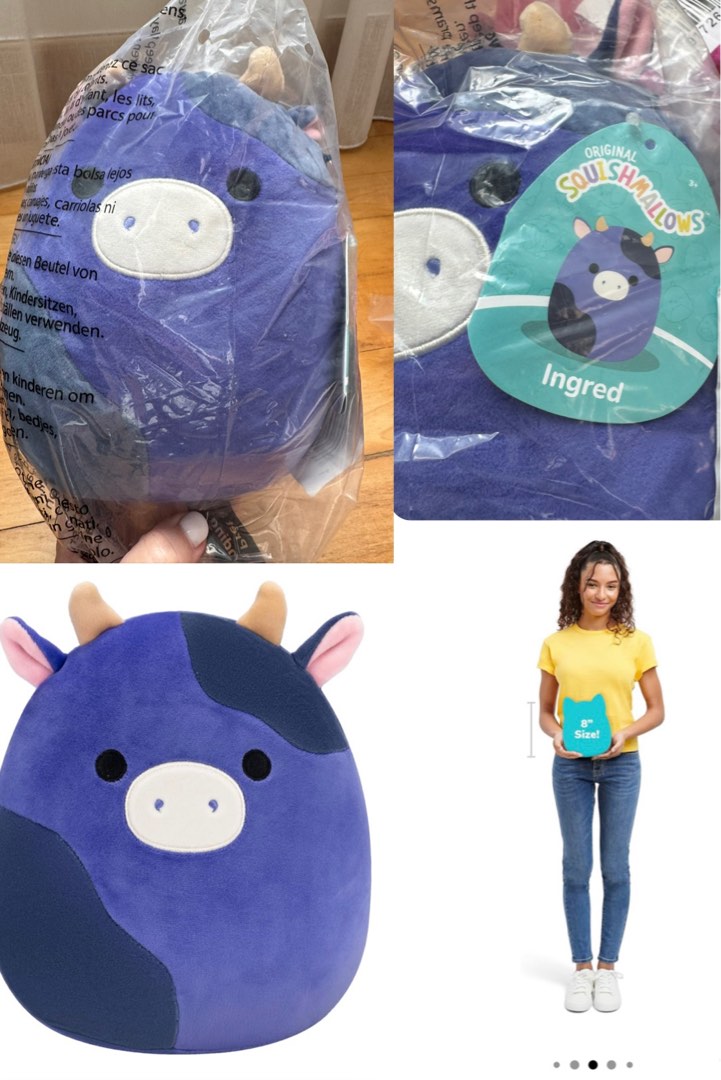 Squishmallows Ingrid the Cow 8" Plush, Hobbies & Toys, Toys & Games on ...