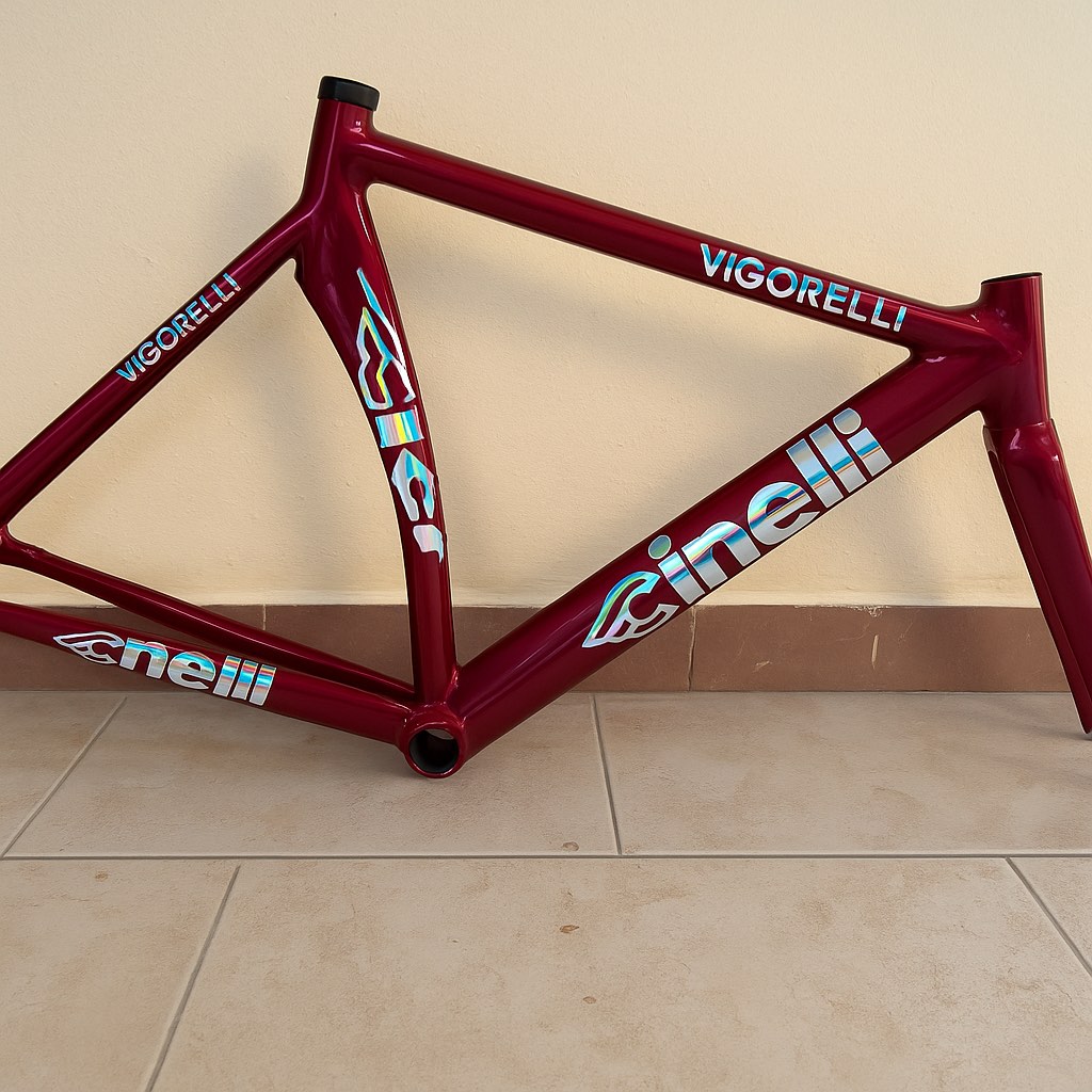 Cinelli Vigorelli Shark Frame, Sports Equipment, Bicycles & Parts ...