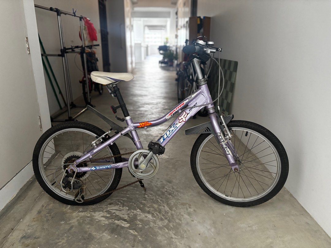 Giant MTX 20 Kids Bike - Purple, Sports Equipment, Bicycles & Parts ...
