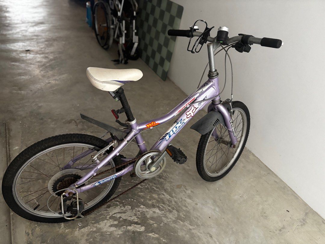 Giant MTX 20 Kids Bike - Purple, Sports Equipment, Bicycles & Parts ...
