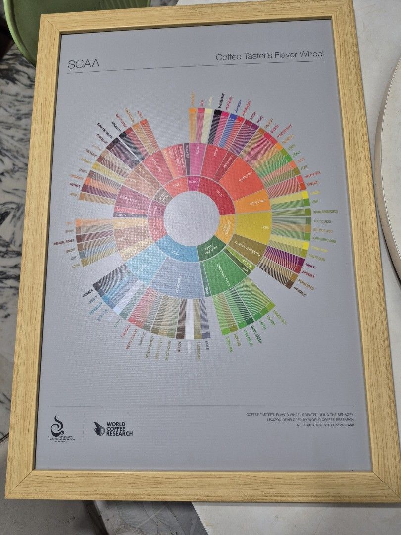 SCAA Coffee Tester's Flavour Wheel with frame., Bulletin Board, Looking ...