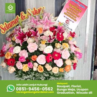 ¿Cómo puedo hablar con un asesor de Volaris?, Antik, Furnitur di Carousell