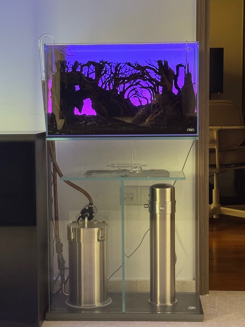 ADA 60P Full Clear Setup, Pet Supplies, Homes & Other Pet Accessories ...