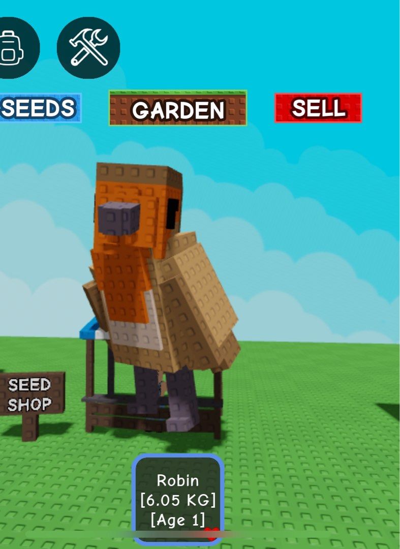 Huge Robin Grow a Garden, Video Gaming, Gaming Accessories, In-Game ...