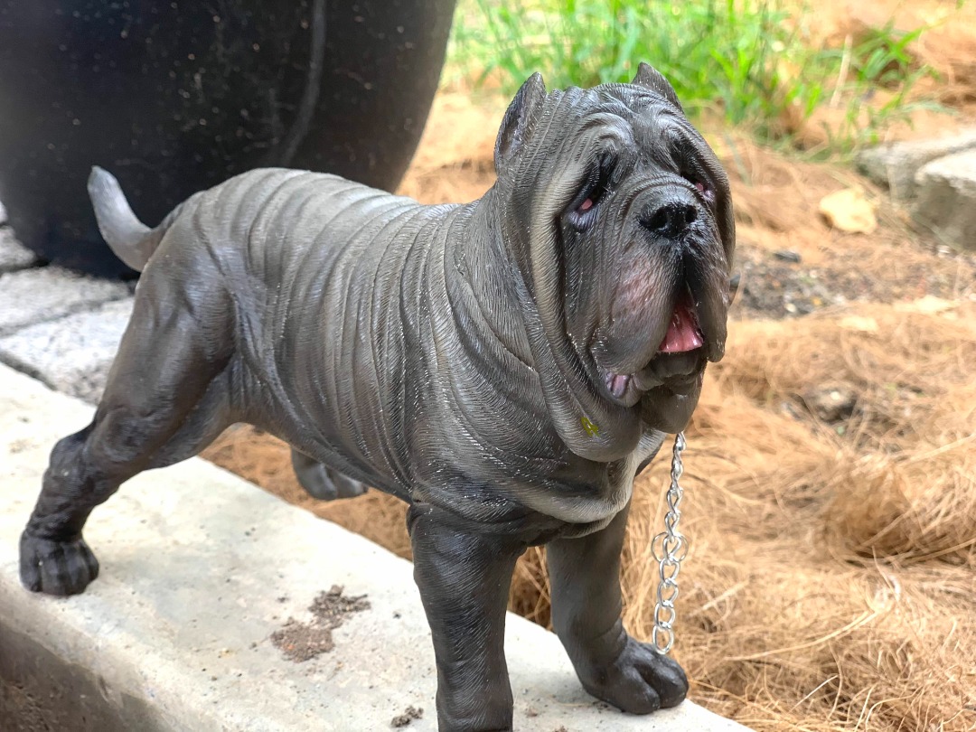 Neapolitan Mastiff Statue Model for Dog Lovers, Hobbies & Toys ...