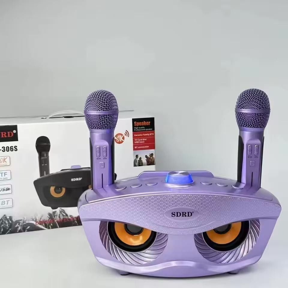 Family KTV Speaker set SDRD306S SDRD 306PLUS with 2 wireless Microphone, Audio, Soundbars ...