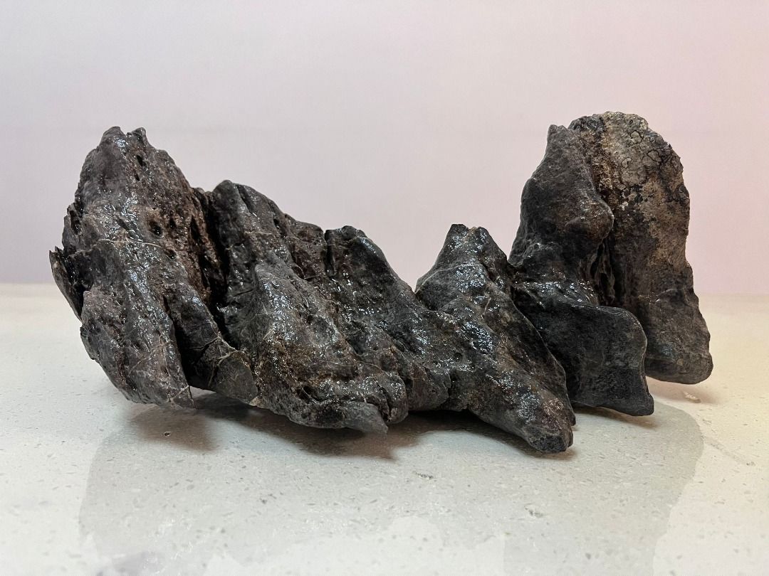 Premium Seiryu Rocks Ryuoh Rocks Aquarium Fish Tank Pleco Tetra ...