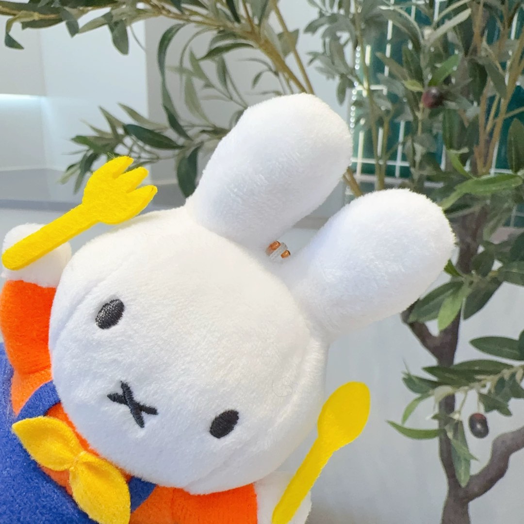 [LIMITED] Miffy Eating Plush Keychain Huis Ten Bosch, Hobbies & Toys ...