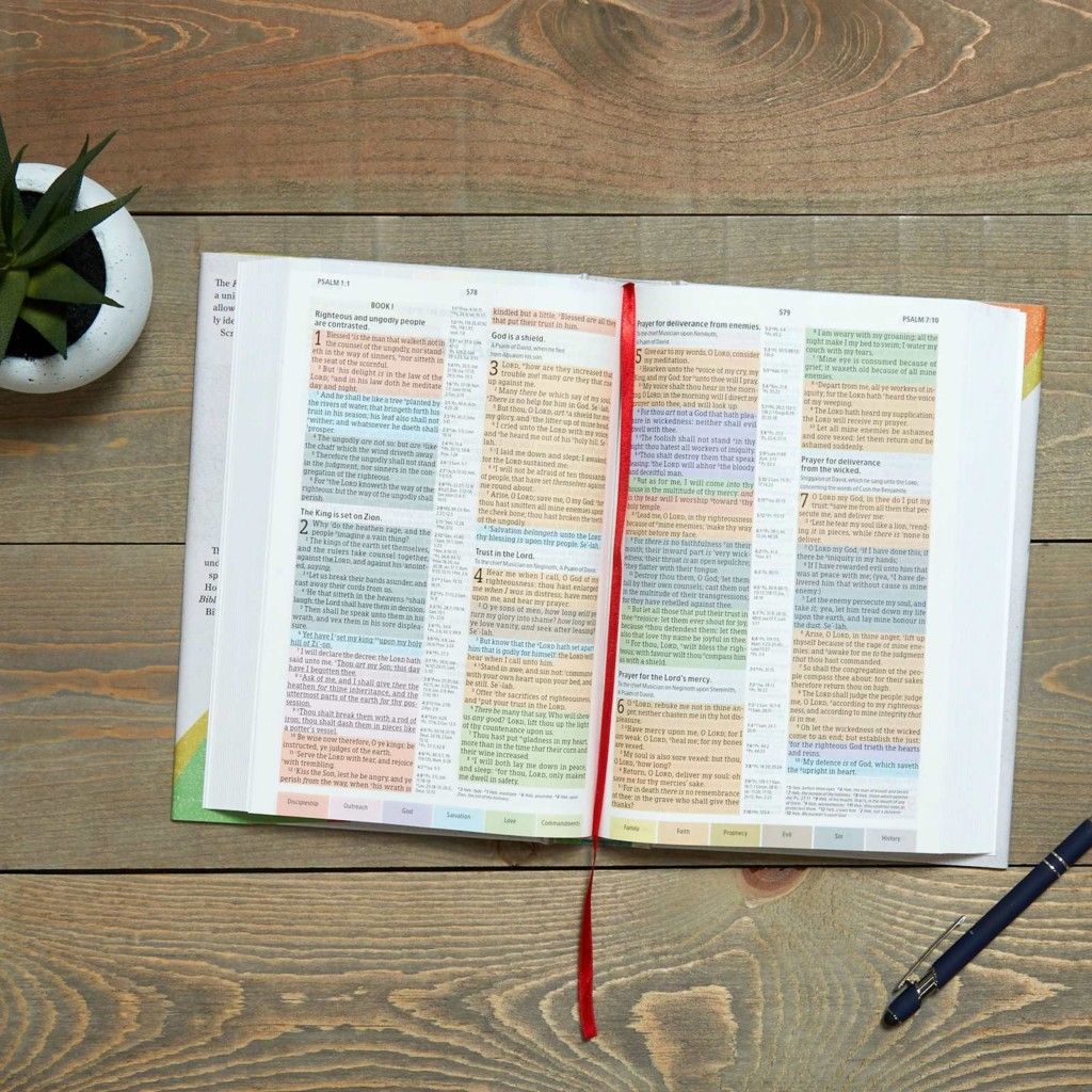 Rainbow Study Bible - Christian Standard Bible, Hobbies & Toys, Books ...