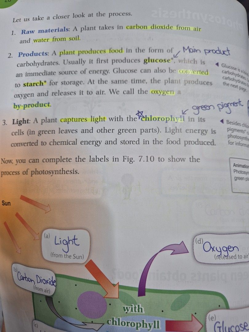 中二科學課本 | Active Science 2A & 2B | Pearson | Revision Guide | Lai Man Ki ...