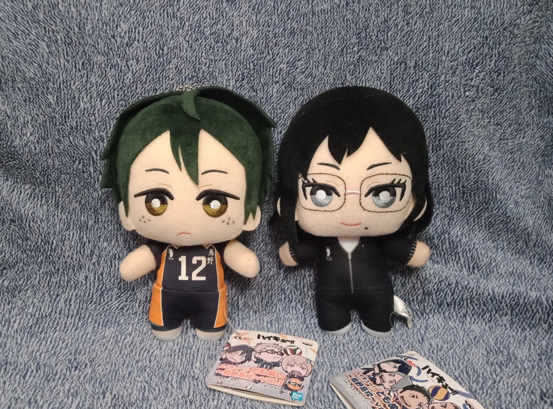 [Haikyuu] Karasuno SET Yamaguchi+Kiyoko Plush Stuff Toy, Hobbies & Toys ...
