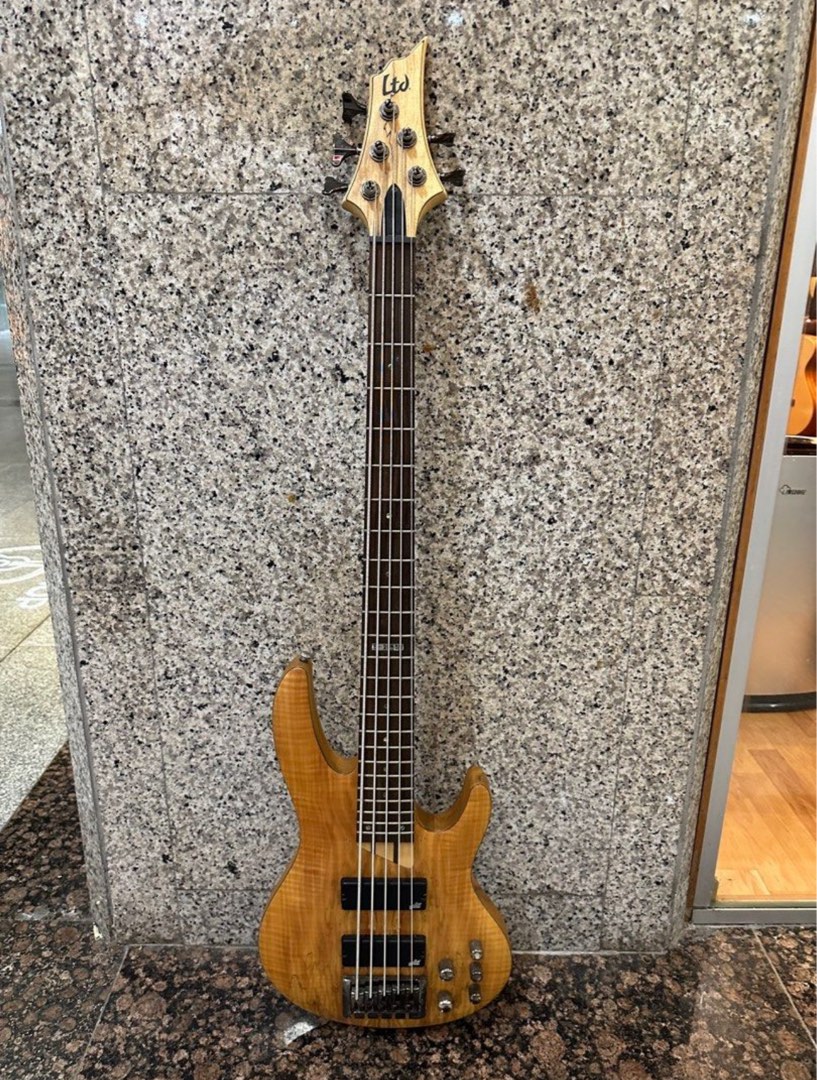 ESP LTD 5-String Bass Guitar, Hobbies & Toys, Musical Instruments on ...