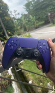 Renogy Wanderer Li 30A 12V PWM Negative Ground Solar Charge Controller ...