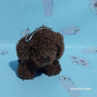 Poodle+Puppies+for+Sale - View all Poodle+Puppies+for+Sale ads in ...