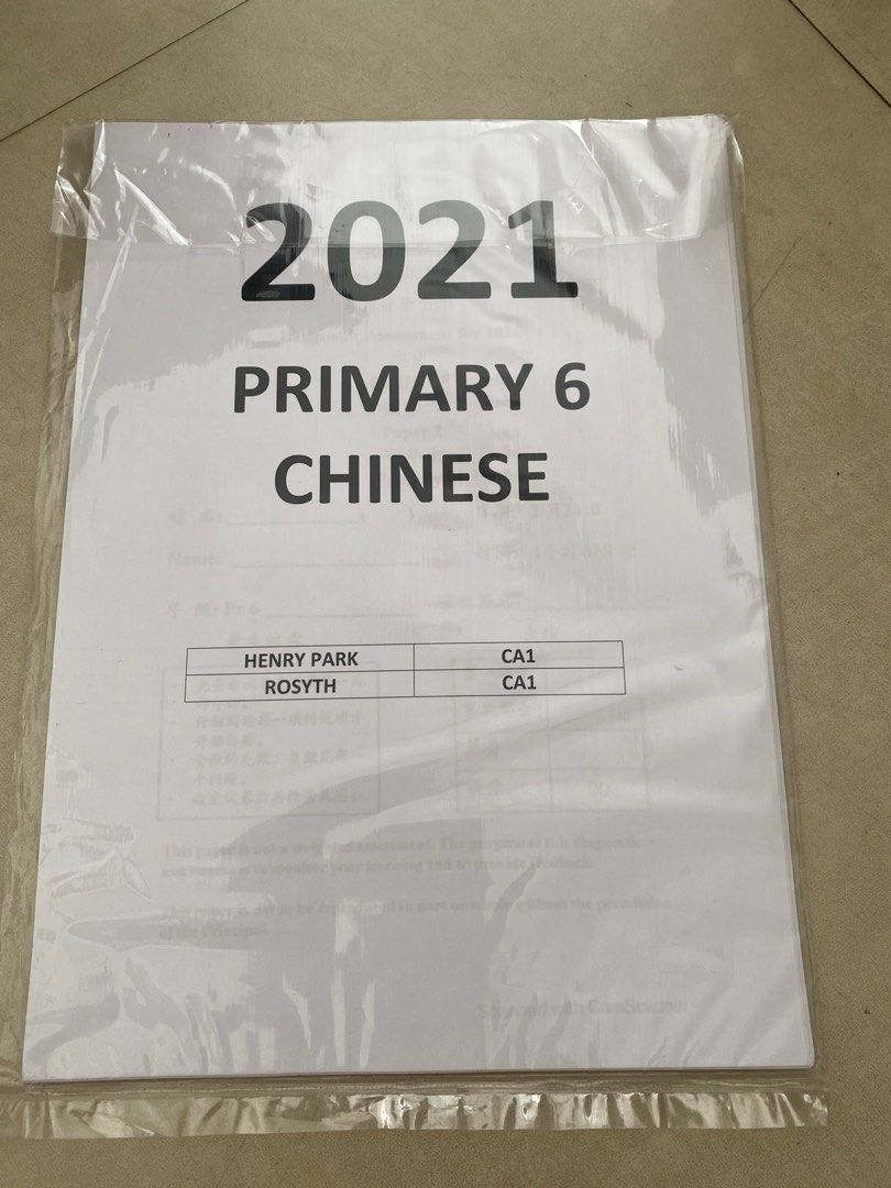 2021 Primary 6 Chinese papers, Hobbies & Toys, Books & Magazines ...