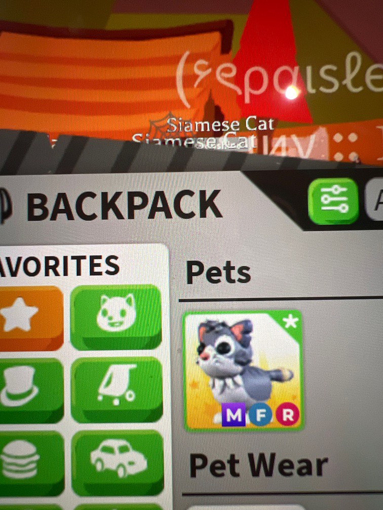 Adopt me exotic-MFR Alley Cat, Video Gaming, Gaming Accessories, In ...