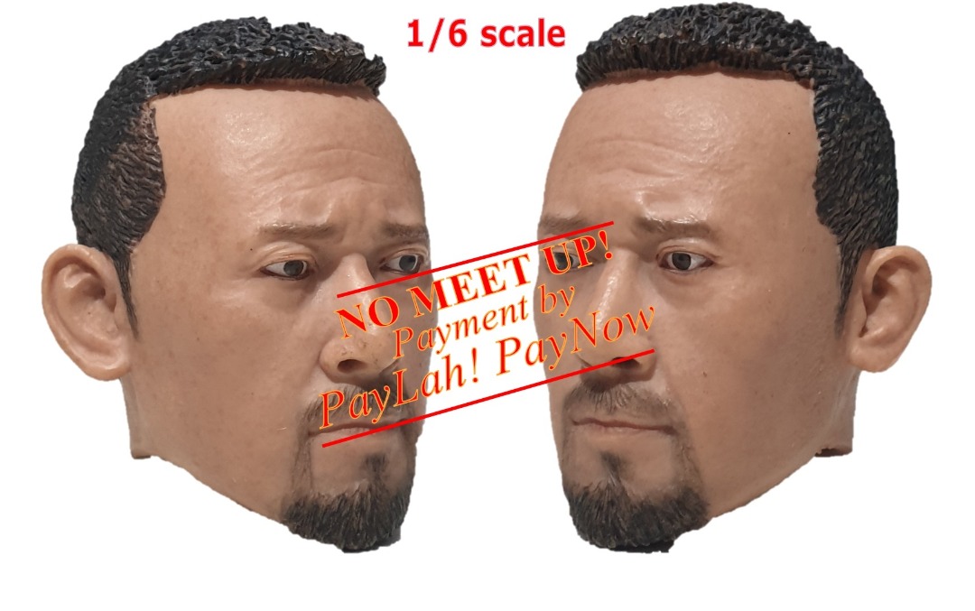 [BRAND NEW] 1:6 scale Jiang Wen's Head Sculpt. *Neck Peg is NOT ...