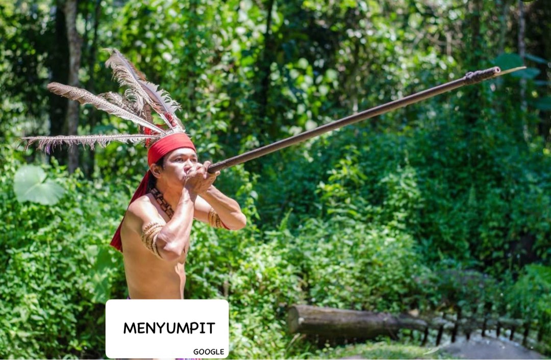 Original Sumpit Sumpitan Sarawak Kayu Belian Wood Blowpipe Blowgun ...