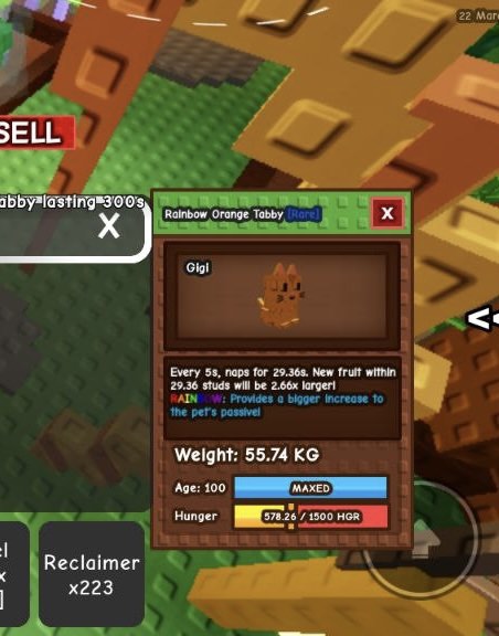 RAINBOW SEMI HUGE ORANGE TABBY CAT GROW A GARDEN, Video Gaming, Gaming ...