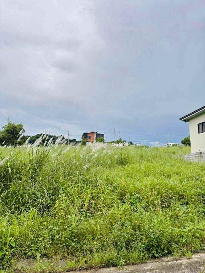 Prime Lot For Sale, Property, For Sale, Lot on Carousell