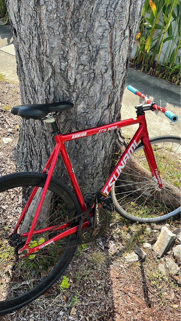 WTS WTT tsunami snm100 red no brakes, Sports Equipment, Bicycles ...