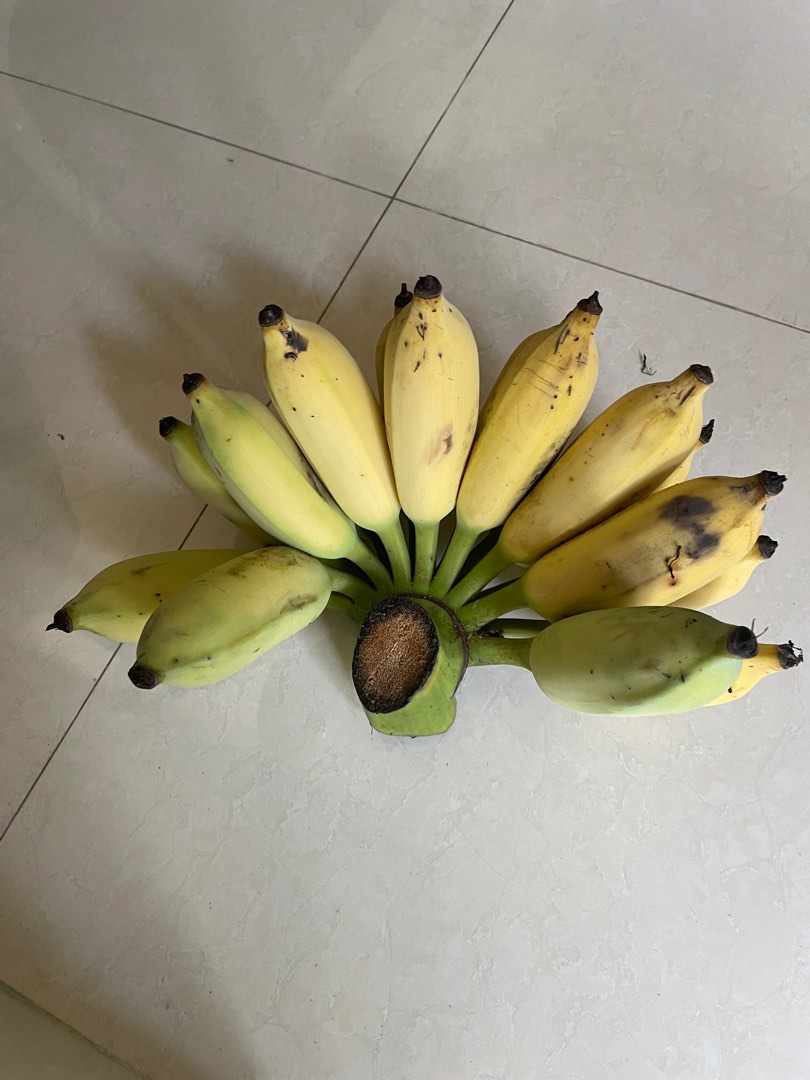 Fresh Bananas - Bunch of 12, TREE RIPENT 100% organic, Food & Drinks ...