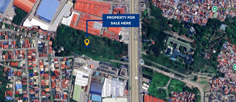 P3129860 Lot for lease Along West Service Road, Paranaque, Property ...
