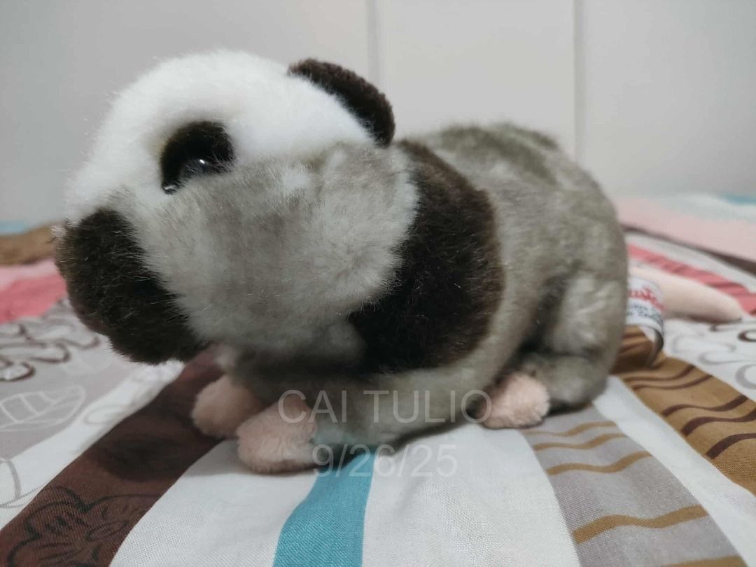 RARE 2011 Rustan's Philippine Endangered Species Collection by GUND for WWF - Cloud Rat (Bu-ot ...