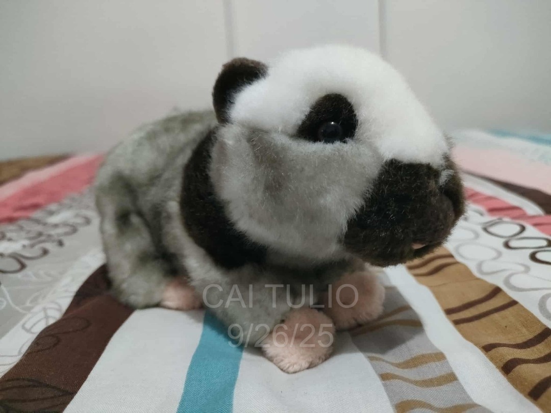 RARE 2011 Rustan's Philippine Endangered Species Collection by GUND for ...